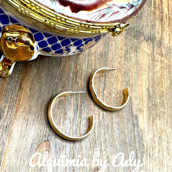 Alquimia | Jewelry | Gold Classic Steel Open Medium Size Hoops Earrings ...